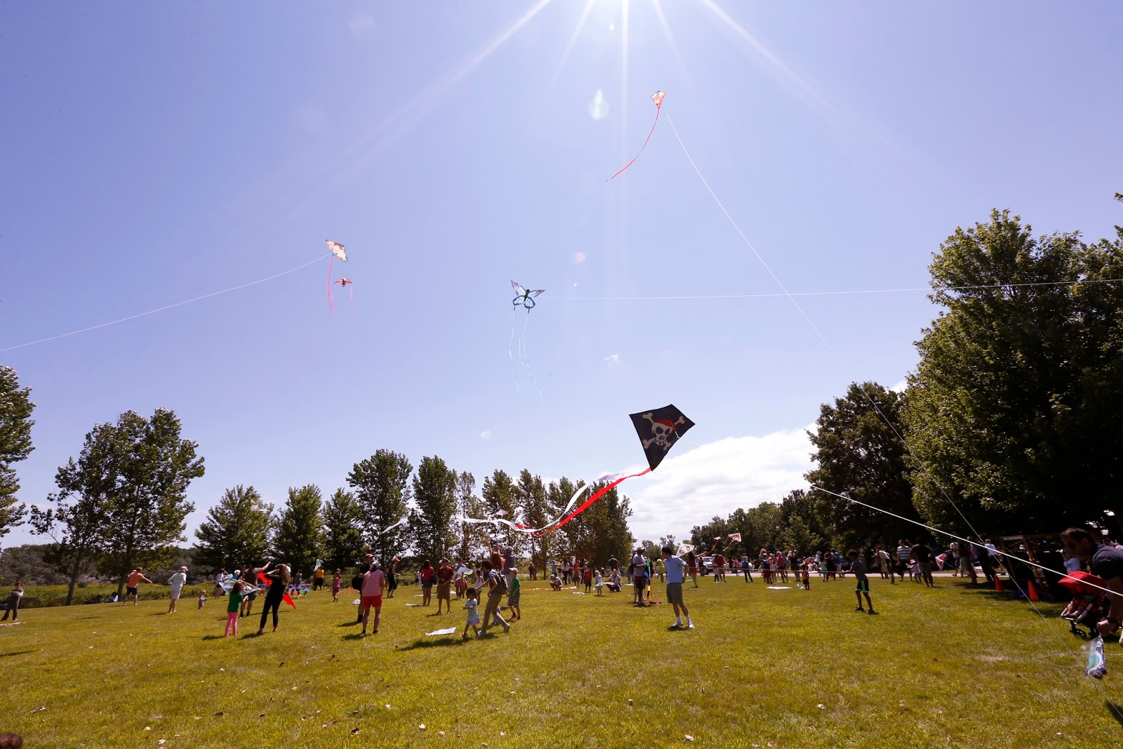 Mark Kodiak Ukena: Chicago Botanical Garden Kite Festival