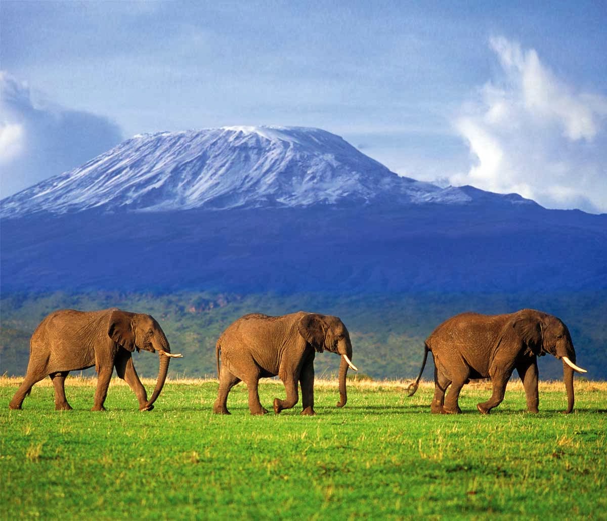 Épila Sociales 2: Nañu dem Africa