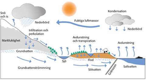 6 B Johannes School: The Water Cycle