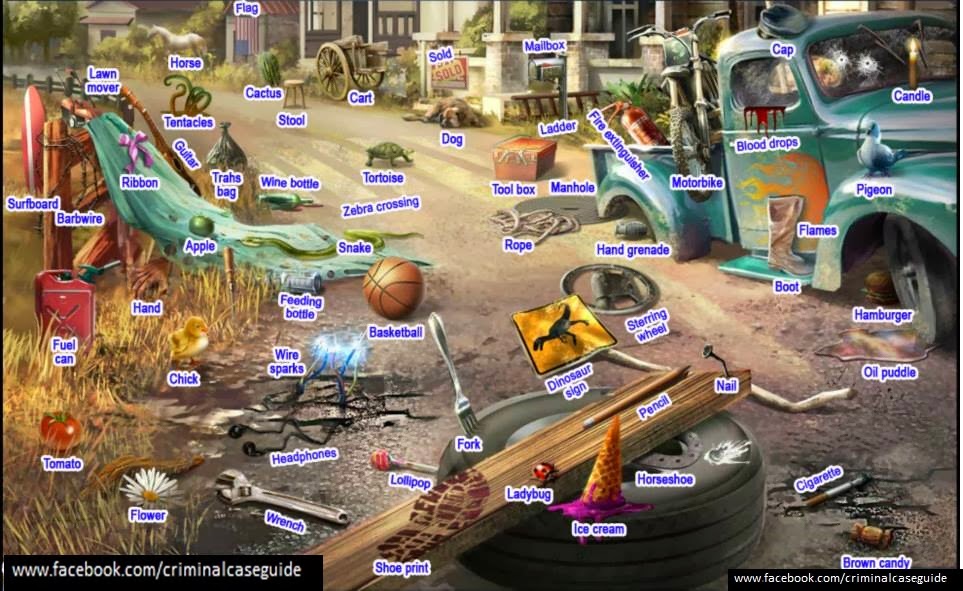 Criminal Case : Solved Case 27 The Lake's Bride - Criminal Case Guide