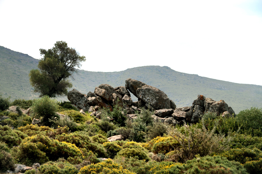 del MEDITERRÁNEO: GREECE. ELLADA. FROM ATHENS TO AEGINA ISLAND ...