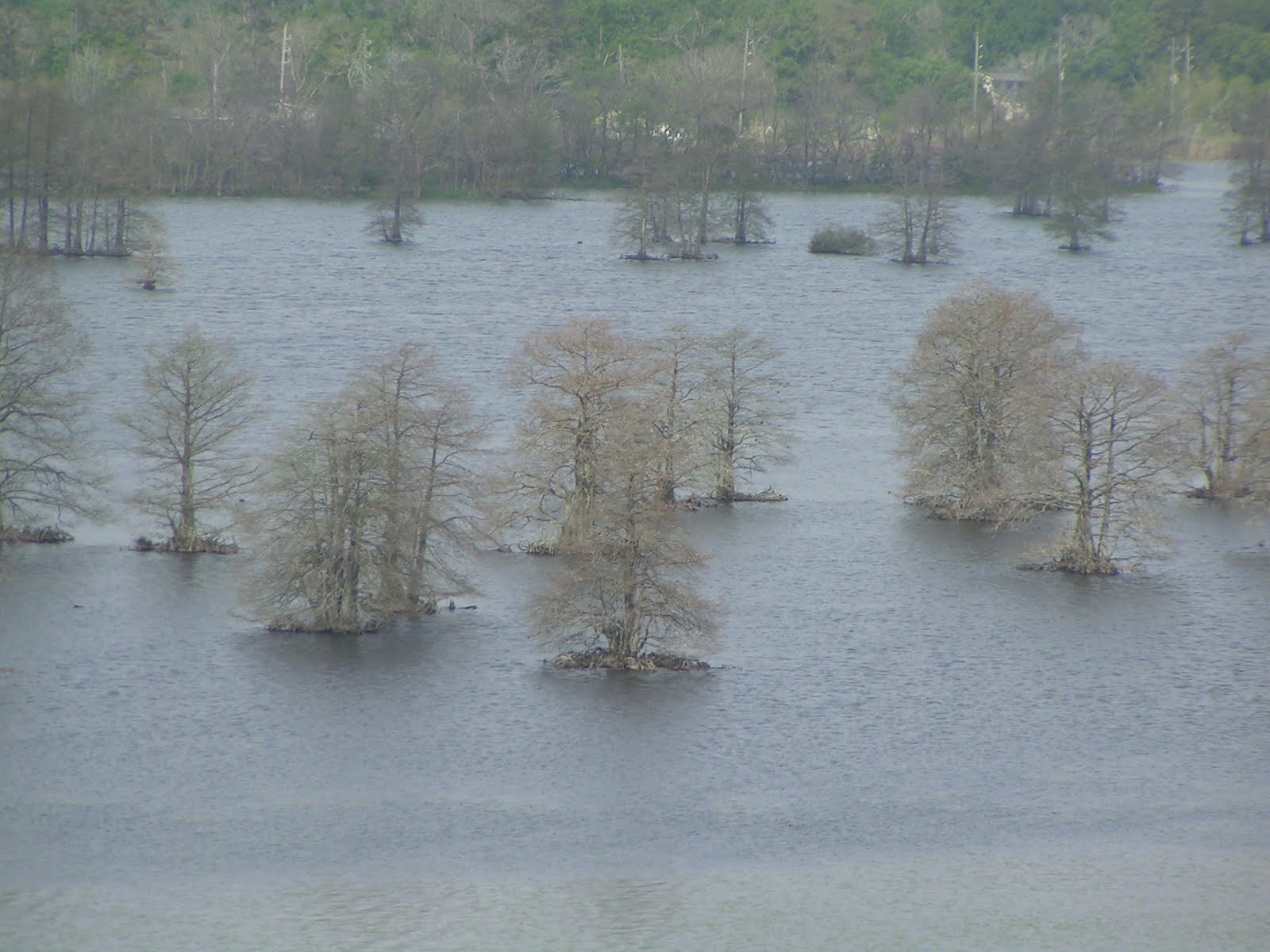 View from the Passenger Window: The Observation Tower at Sheldon Lake ...