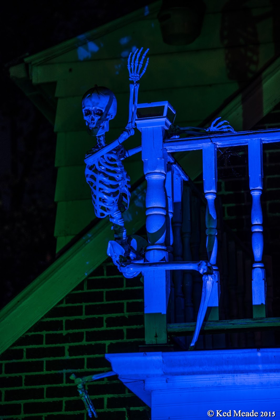 Something wicKED this way comes....: The Skeletons of Wicked Woods ...