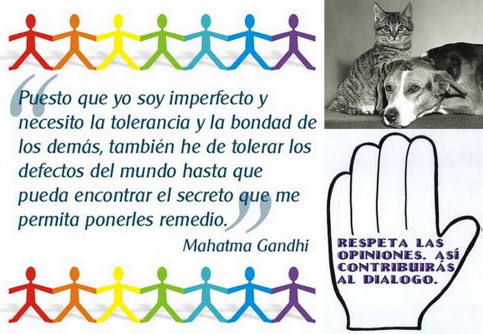 La Importancia De La Tolerancia Definicin Del Valor