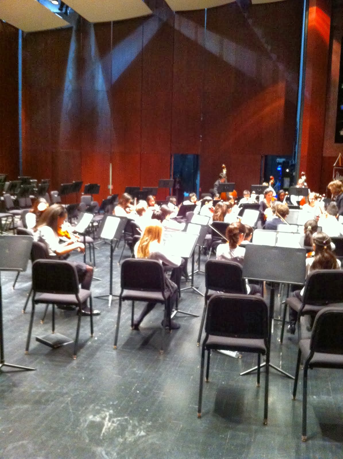 ...a flock of Jays: Detroit Metropolitan Youth Symphony Winter Concert