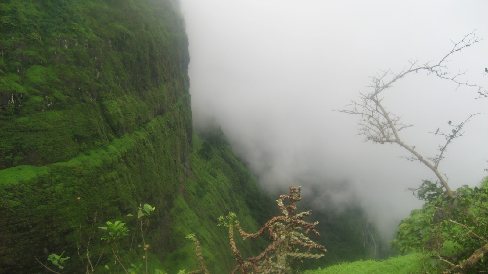 On the Edge of Sahyadris: Ahupe Ghat: A memorable walk through heaven