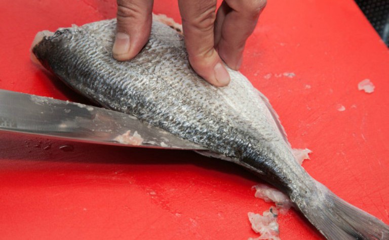 Milkfish Fillet for Easy and Superb Meals - Milkfish Supplier, Milkfish ...