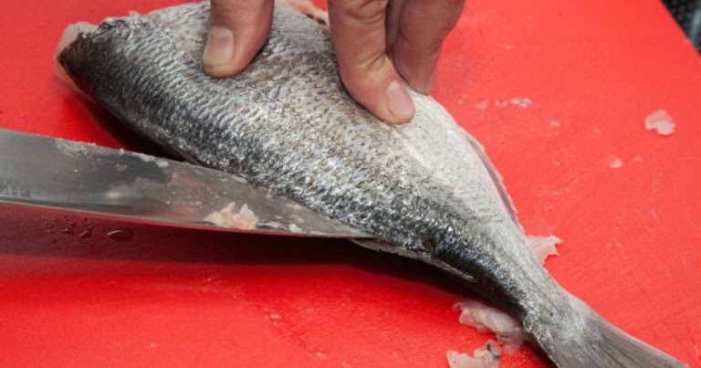 Milkfish Fillet for Easy and Superb Meals - Milkfish Supplier, Milkfish ...