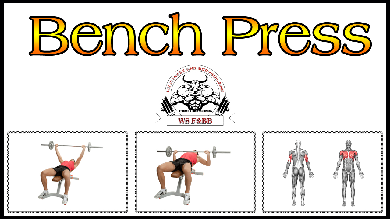 Bench Press Chest Workout Exercise #1 for men by - WS Fitness and ...