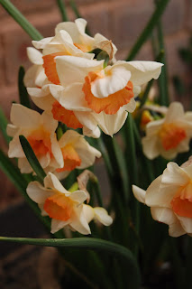 The Trial 8 - we got through the winter and into Spring