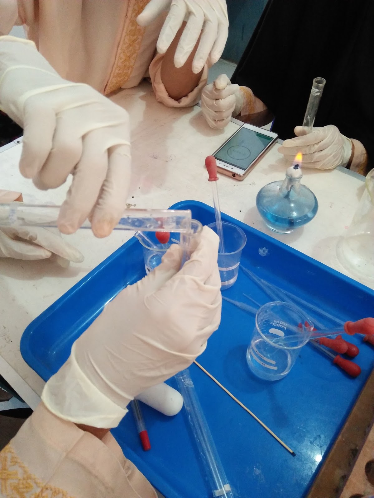 Easy To Learn BIOLOGY: LAPORAN ENZIM KATALASE