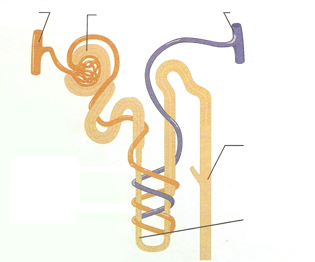 Descubriendo el mundo que nos rodea: 3º ESO
