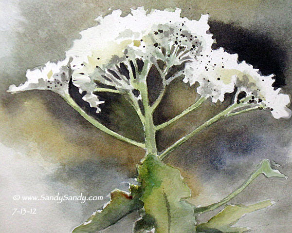 *Sketching Every Day*: Drawing Plants and Animals