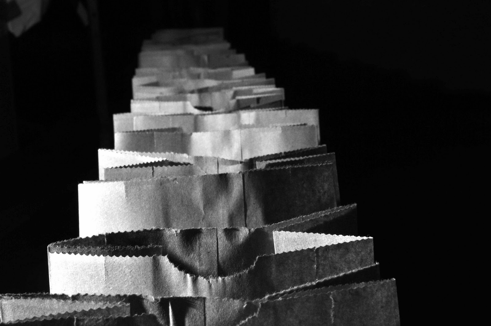 Emily Mae Whitaker photography: random household objects