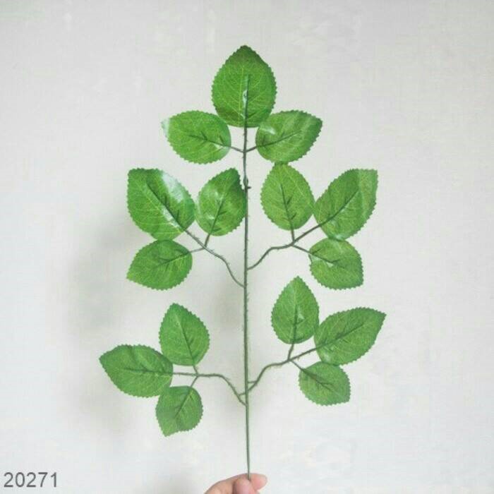 MORFOLOGI DAUN TUNGGAL DAN DAUN MAJEMUK ~ Olahraga Bola Besar dan Kecil