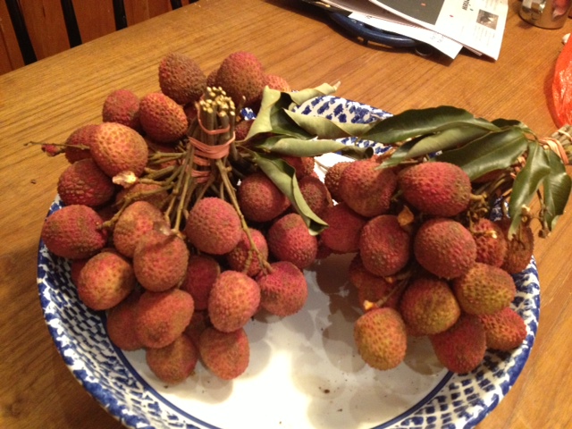 eatdinner.org: Family Dinner: A Stable Force in Times of Change