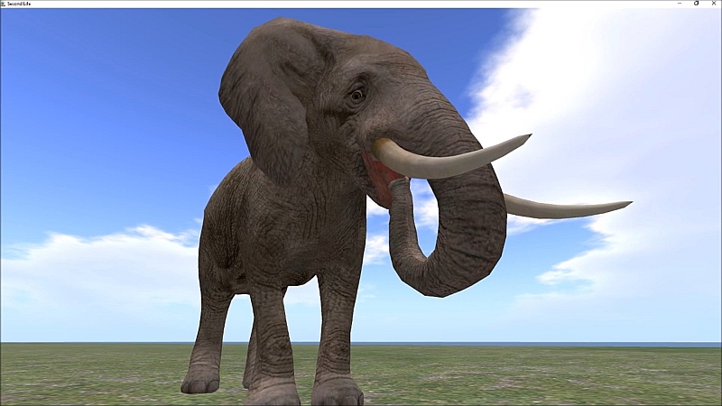 Echt Virtuell: [Video] - Animesh Beispiele aus dem Beta Grid