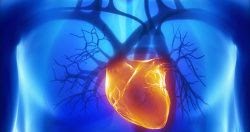 Terviseakadeemia uus hingamine- uus elu: Südame-veresoonkonna haigused ...