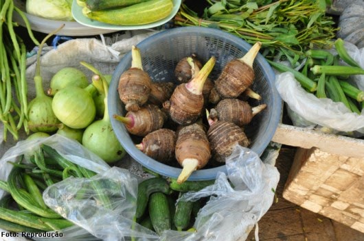 DIVULGO E COMPARTILHO: RECEITINHAS DE INHAME!!