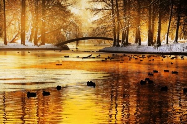 World of fotos: Πανέμορφες χειμωνιάτικες εικόνες