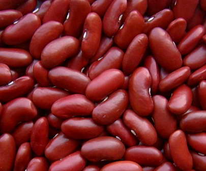 How to Grow Red Kidney Beans from Dried | Garden How