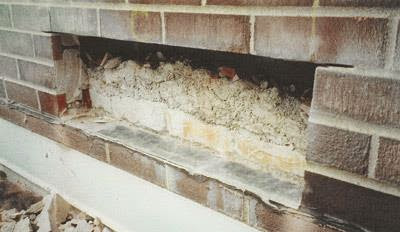 MEC&F Expert Engineers : CONSTRUCTION DEFECTS –MORTAR BRIDGING AND ...