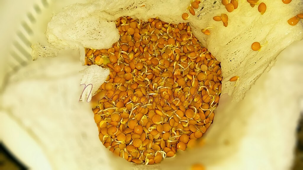 Sprouted Massor Dal And Green Peas Fry