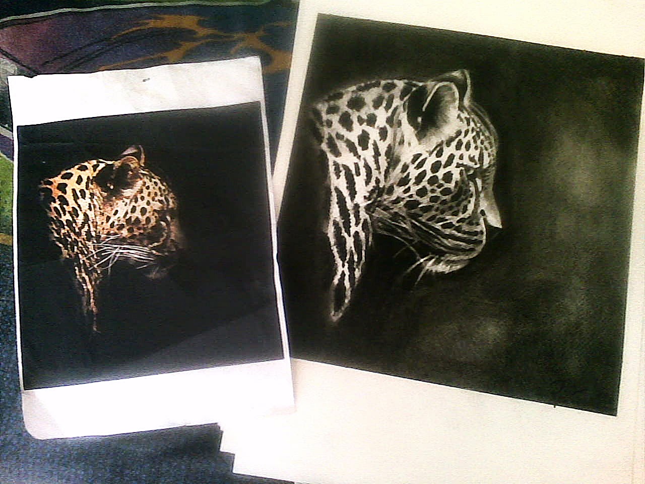"Save Me" Wildlife Conservation Art Exhibition
