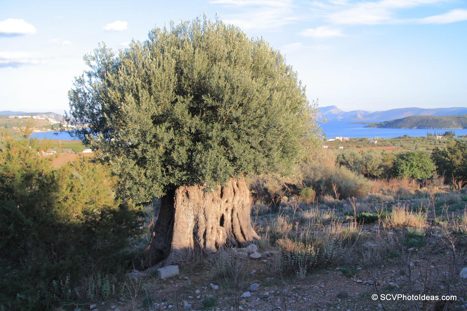 S.C.V. Photography Ideas: An Appointment with the Ancient Past...