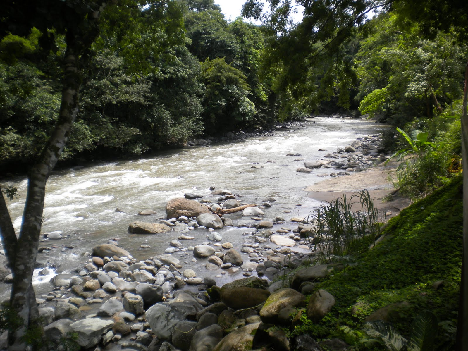 The Little Poet in Panama: Rio Encantado Nature Preserve, Caldera, Panama