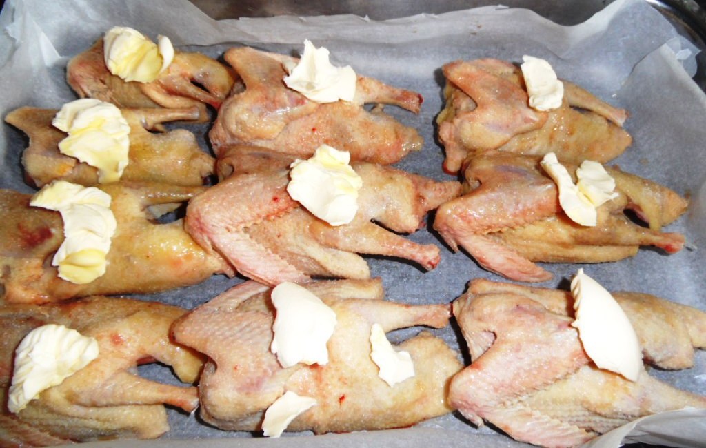 SZERETEK FŐZNI(2): Sült galamb