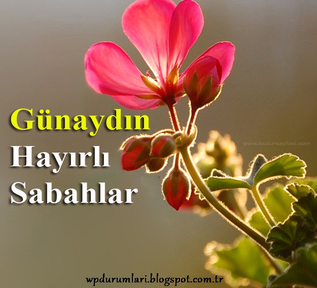 Günaydın Mesajları