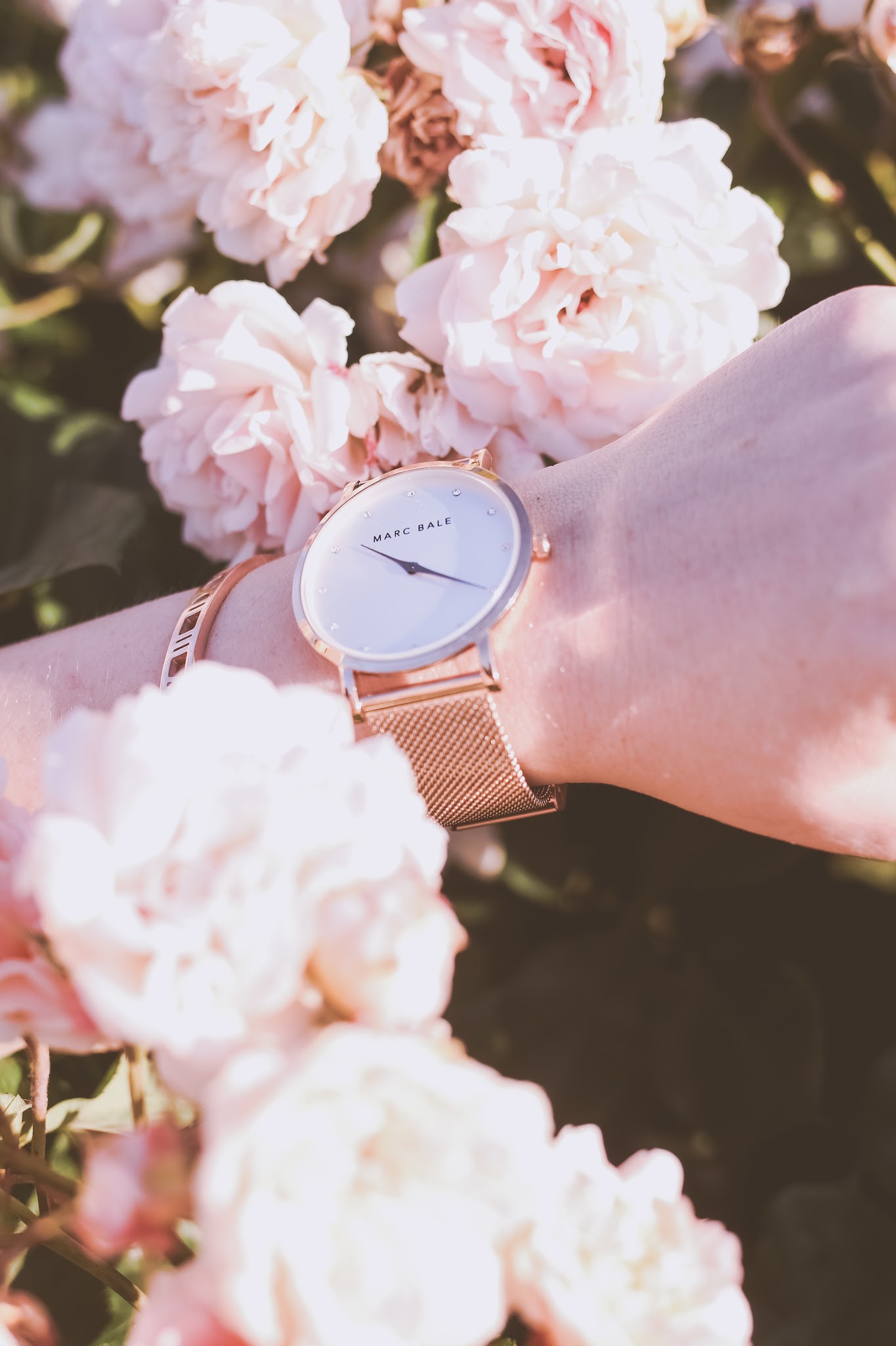 Roses and Gold - Finding Femme