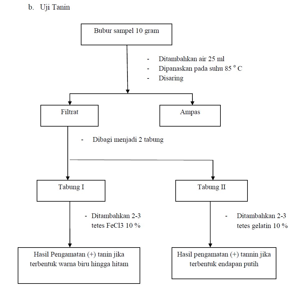 Uji Antioksidan ~ HIDUPKU