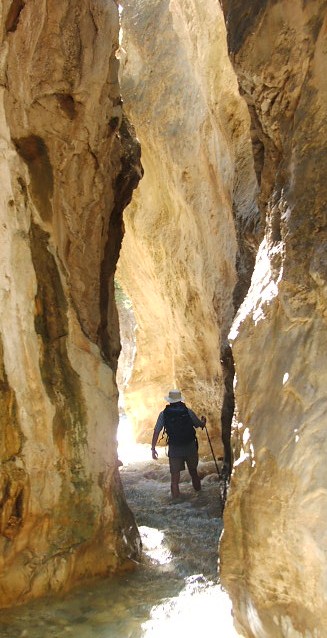 The Life of Riley: Chill out in the Chillar