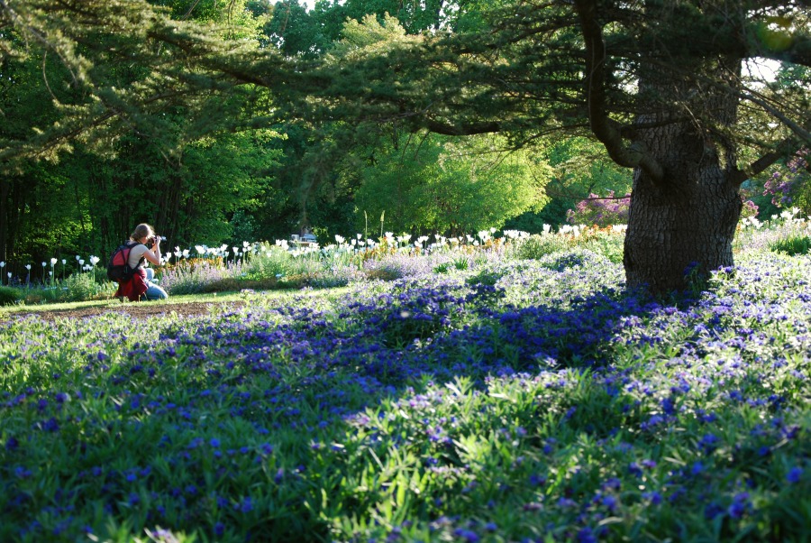 Storchschnabel und andere Stauden: Gartentage in Freising - Nachlese 2/ ...