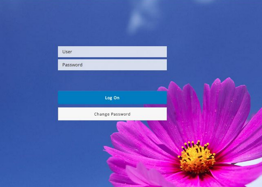 SAP Fiori login page configuration - SAP Development: Mastering SAP UI5 ...