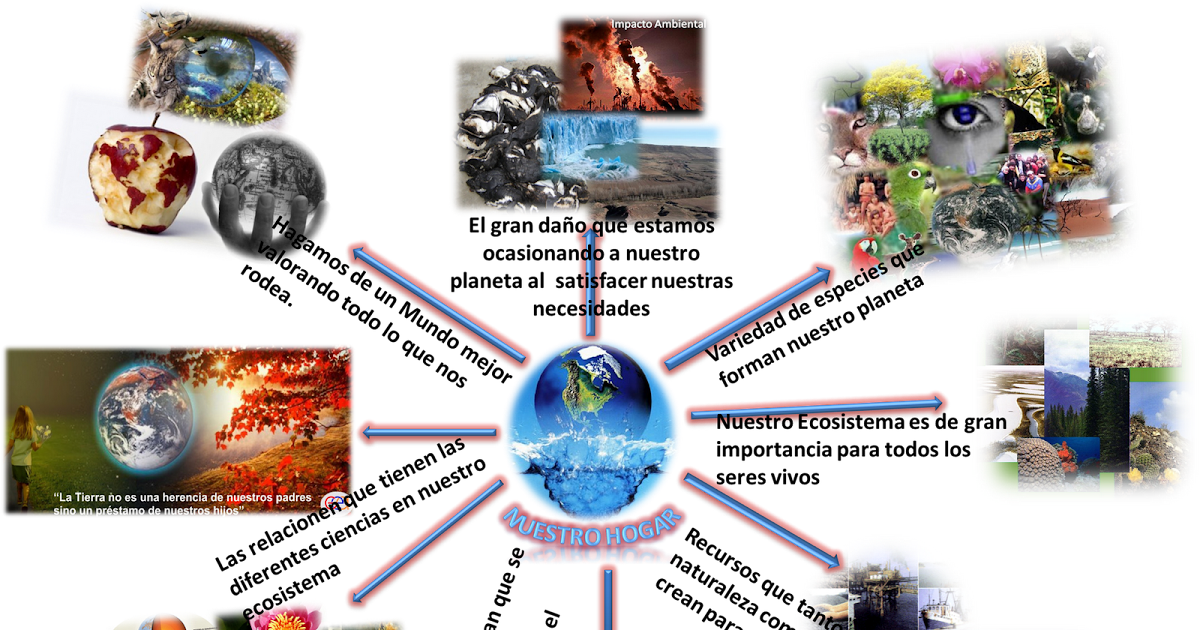 Mapa Mental De La Sustentabilidad Esquemas Y Mapas Co - vrogue.co Mapa Mental De La Sustentabilidad Esquemas Y Mapas Co - vrogue.co
