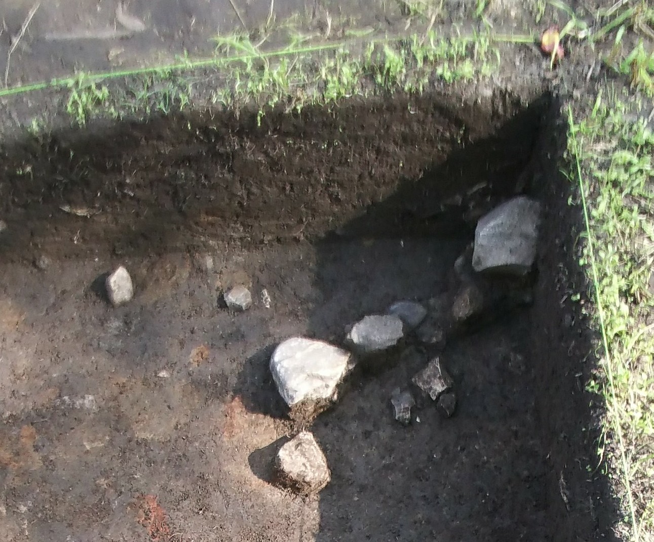 Fort St. Joseph Archaeological Project: A sneak peek into one of the pits