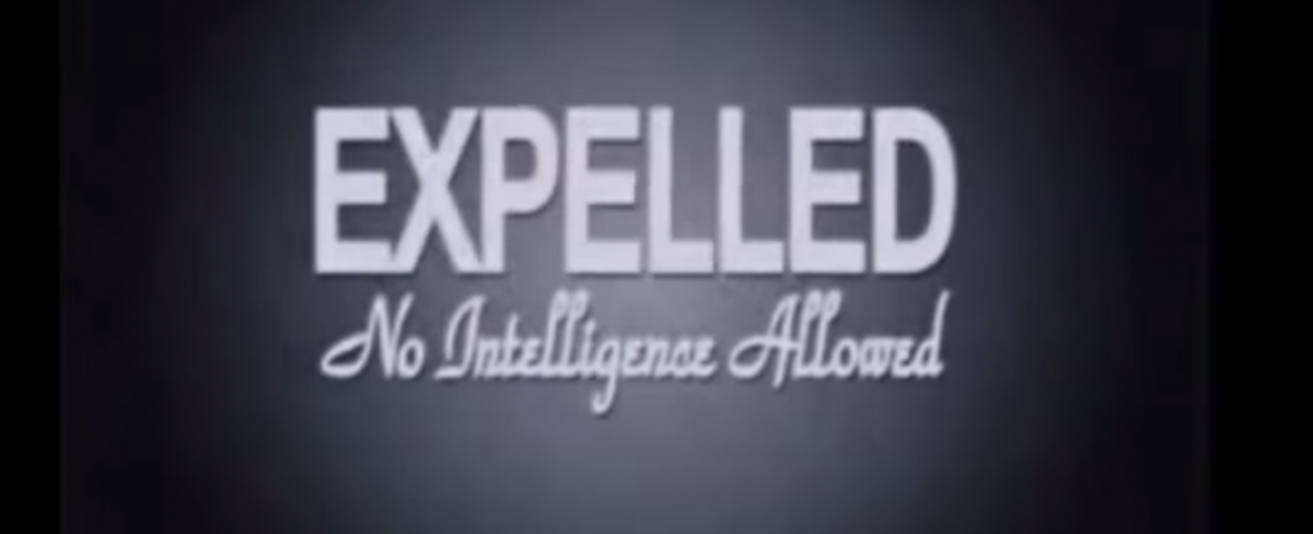 Salisbury News: Massive Numbers Of Chinese Students Expelled From US ...