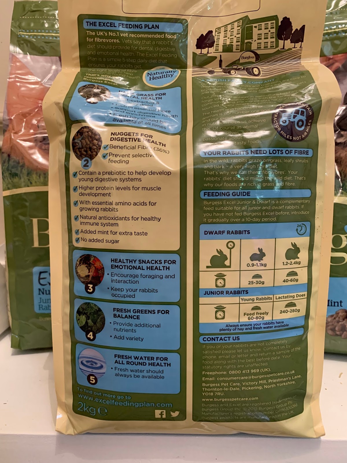 Rabbit Rescue Sanctuary: 2019