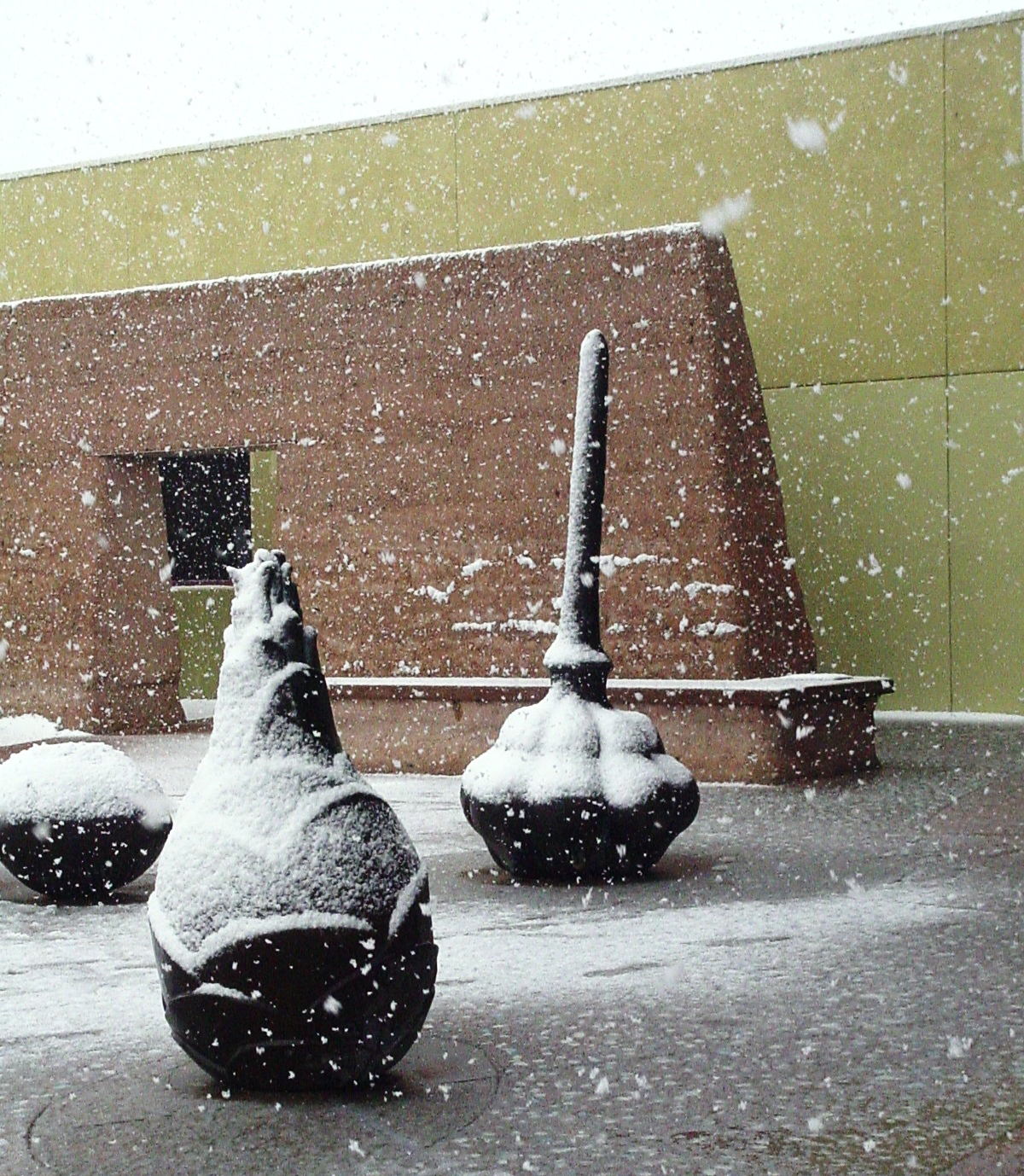 Tucson Daily Photo ~: Snow pods