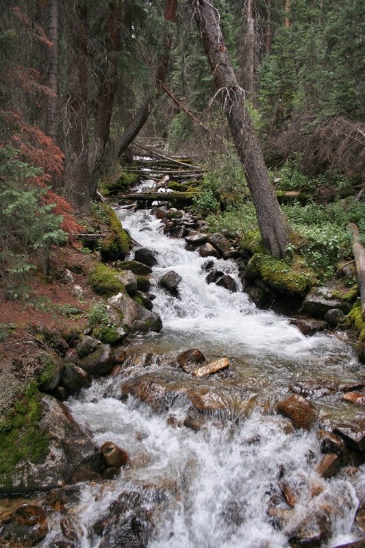 Colorado Lifestyle: Hope Pass