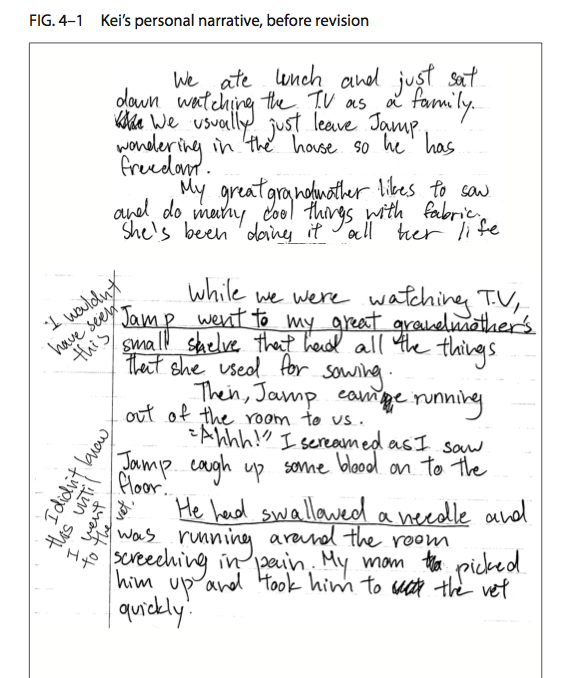 Writing Workshop Blog: Writing Workshop Session 4 (Personal Narrative)