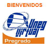 UNEG MERU INDUSTRIAL: Descargas