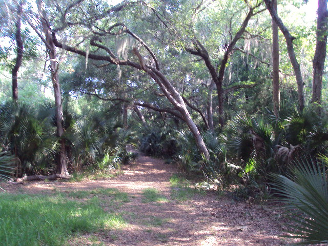 WildWildernessWalkers: Silver Glenn Springs