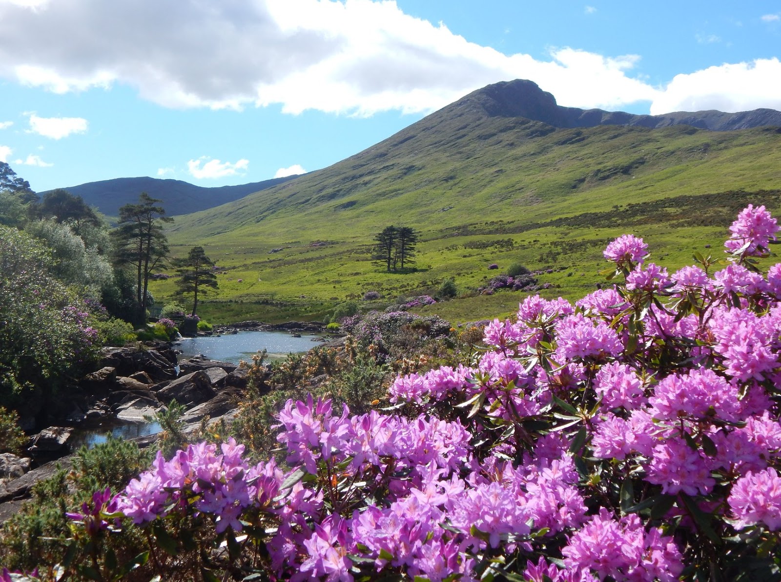 Granny off the road : Du côté de Leenane