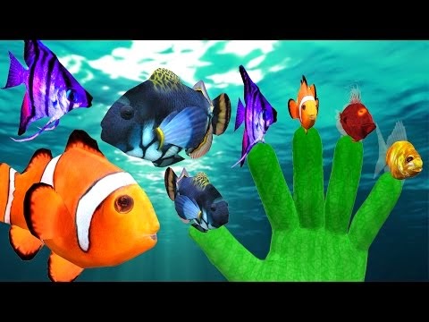 Fish Finger Family Children Nursery Rhymes | ChildrenNurseryRhymes