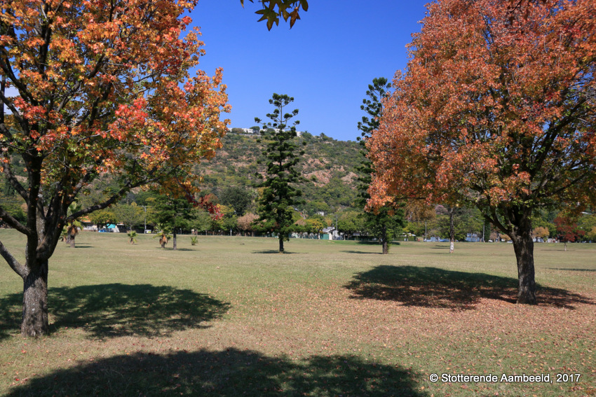 Die Stotterende Aambeeld: Fotografie : Rietondale Park, Laat Herfs