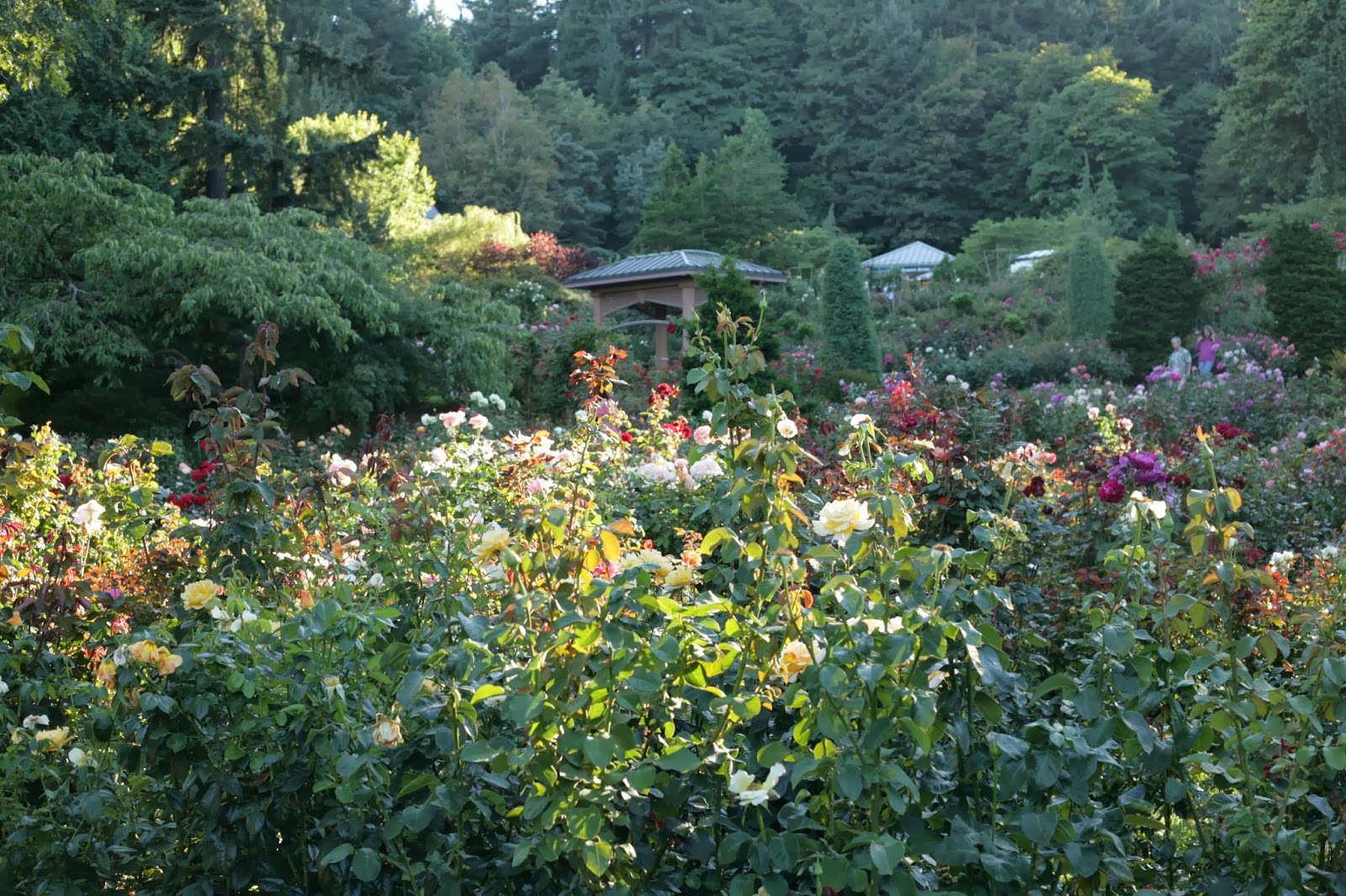 37 States, 39 Days: Portlandia - Dream of the 90's